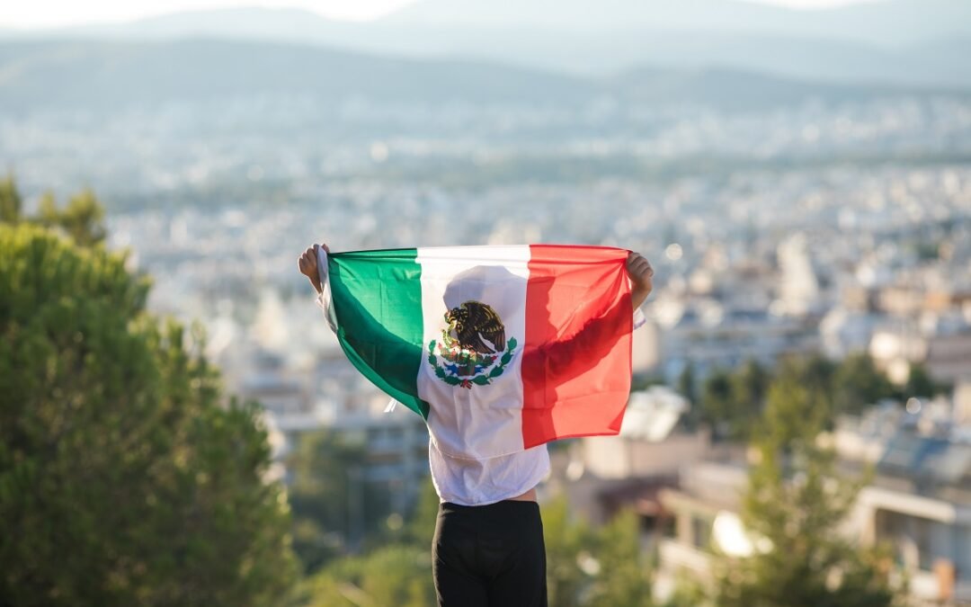 What is the RFC number delivered by the Mexican Tax Agency? - Moxige RFC